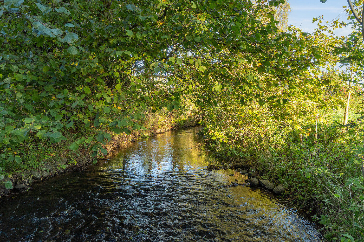 Vibækvej 80, Brylle, 5690 Tommerup | Thobo-Carlsen & Partnere A/S